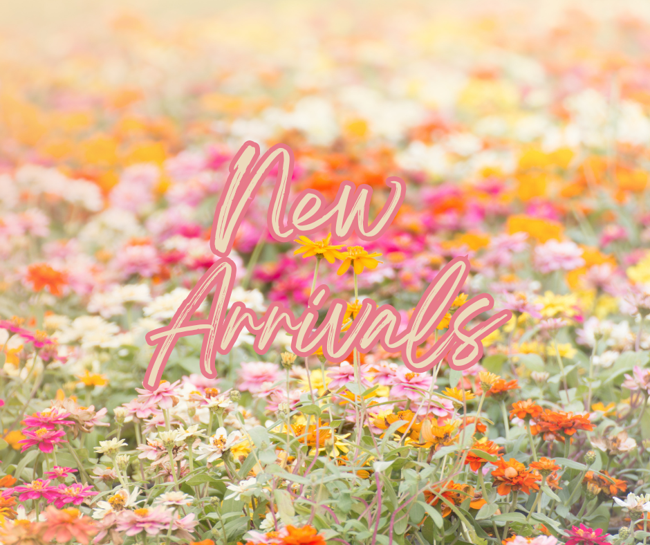 New Arrivals | Mayan Craft Shop